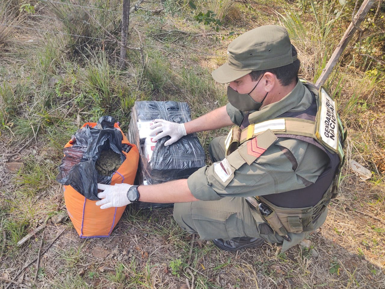 En Misiones, decomisan cogollos de marihuana y cigarrillos ilegales | Argentina.gob.ar