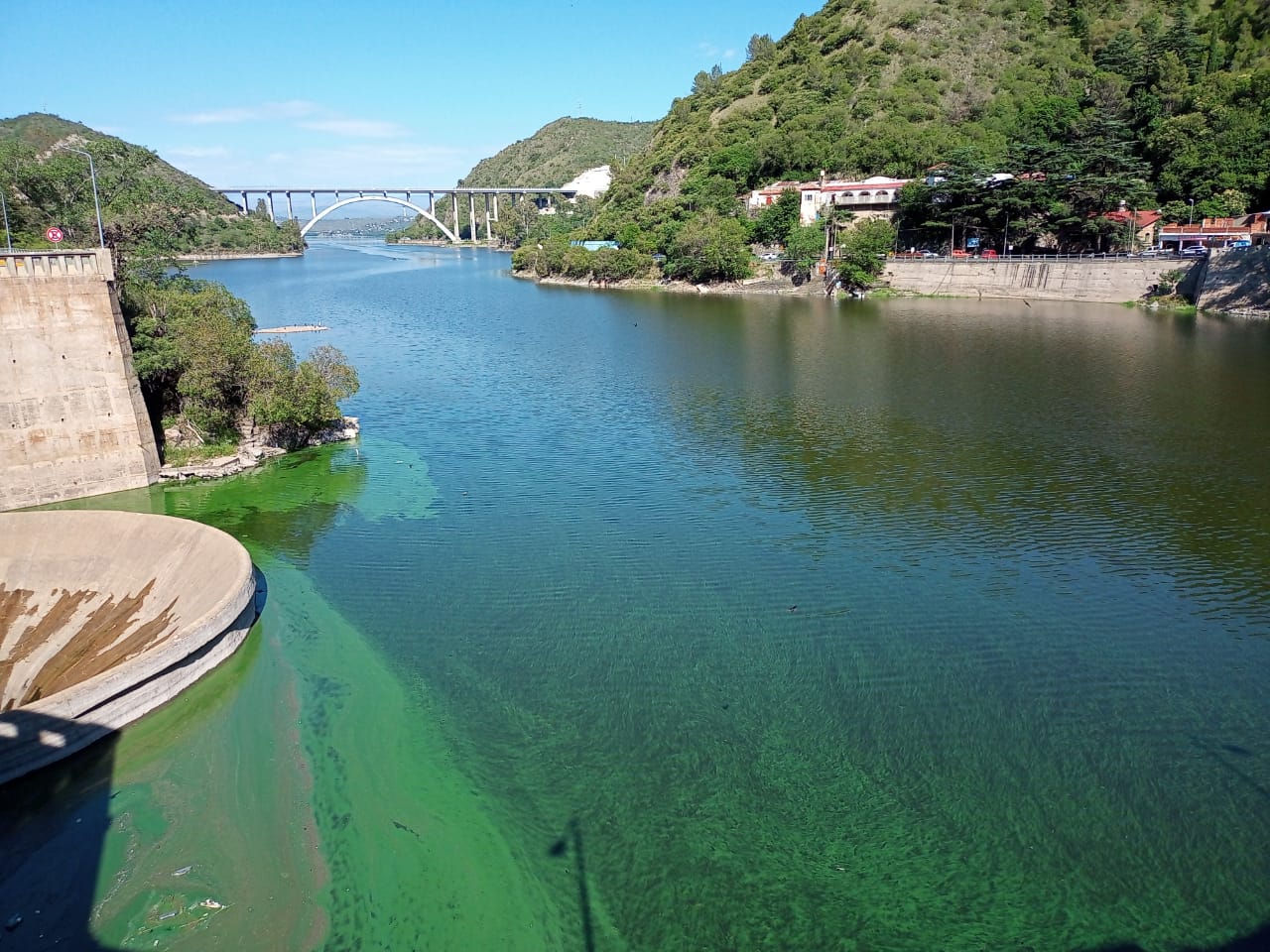 La calidad del agua del embalse San Roque capta todas las miradas ...