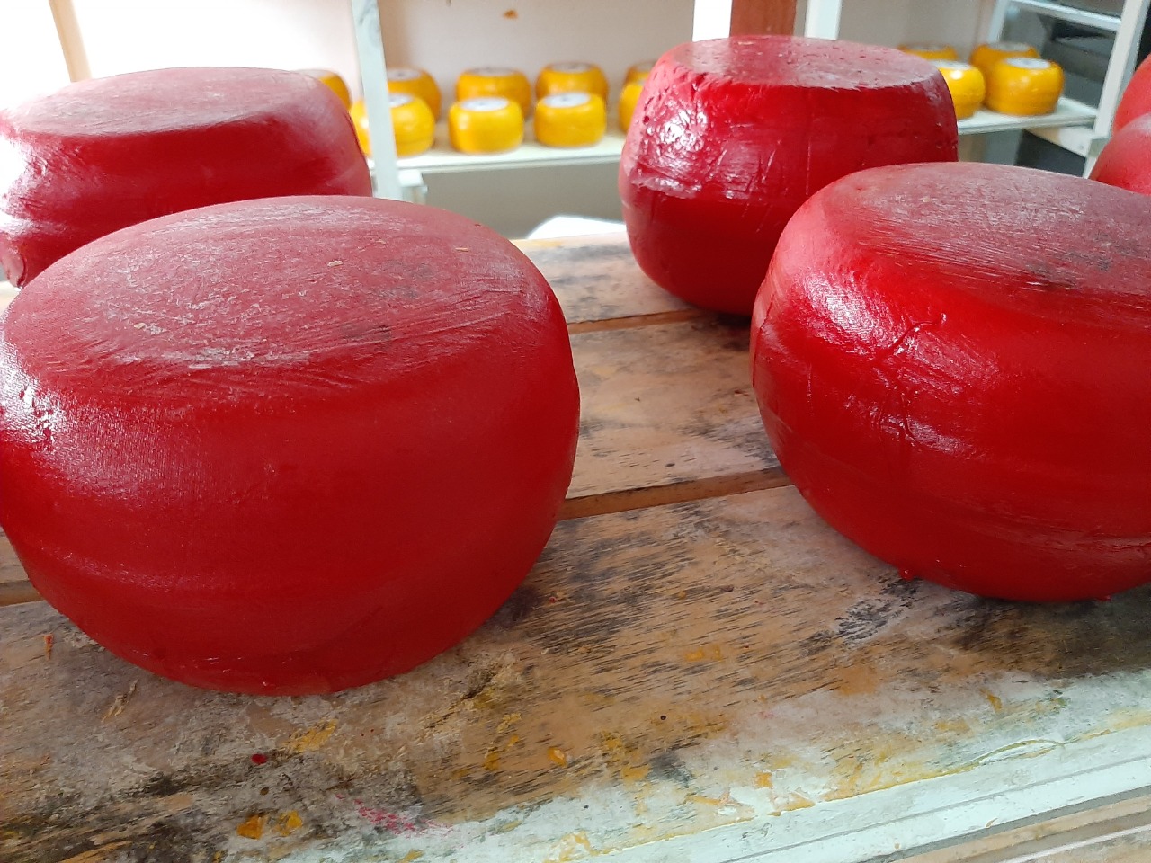 Acciones para el desarrollo de la agricultura familiar en la provincia ...