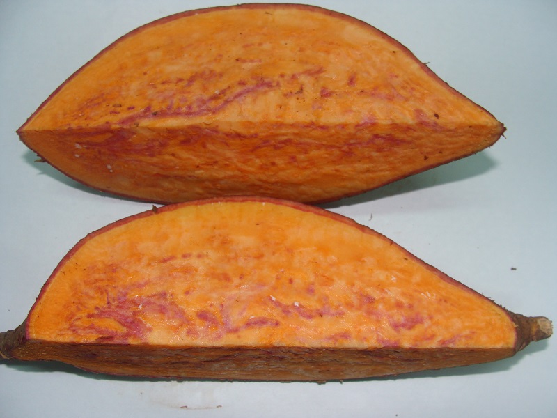 Batatas de pulpa naranja: evalúan el potencial antioxidante | Argentina ...