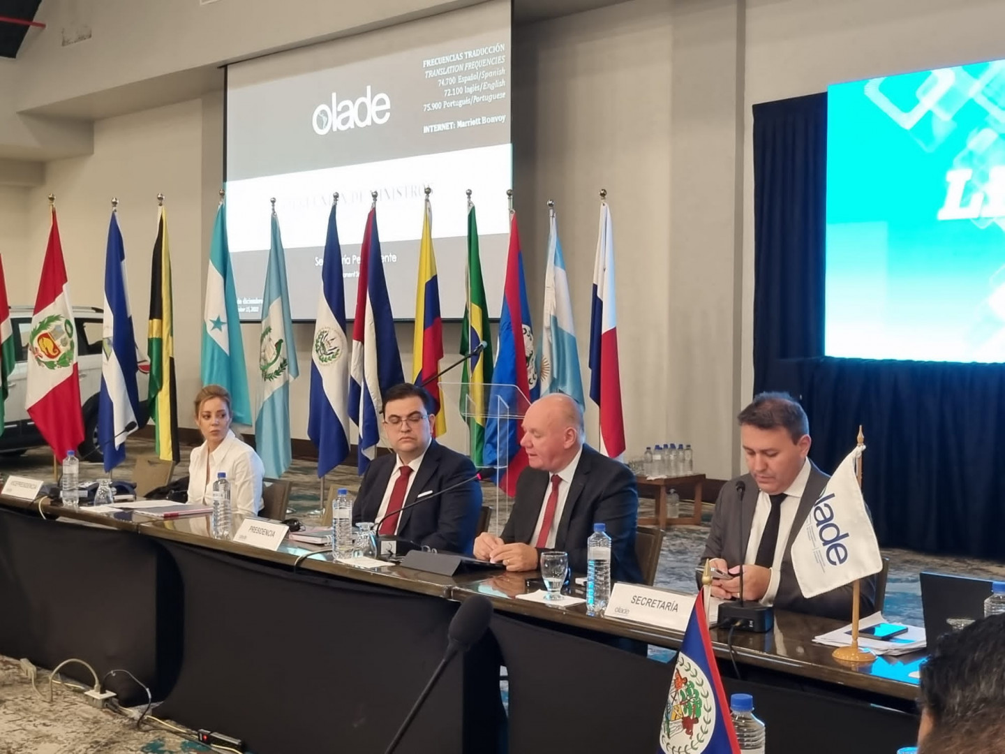 Royon expuso la estrategia argentina para la transición energética ... Royon expuso la estrategia argentina para la transición energética ...