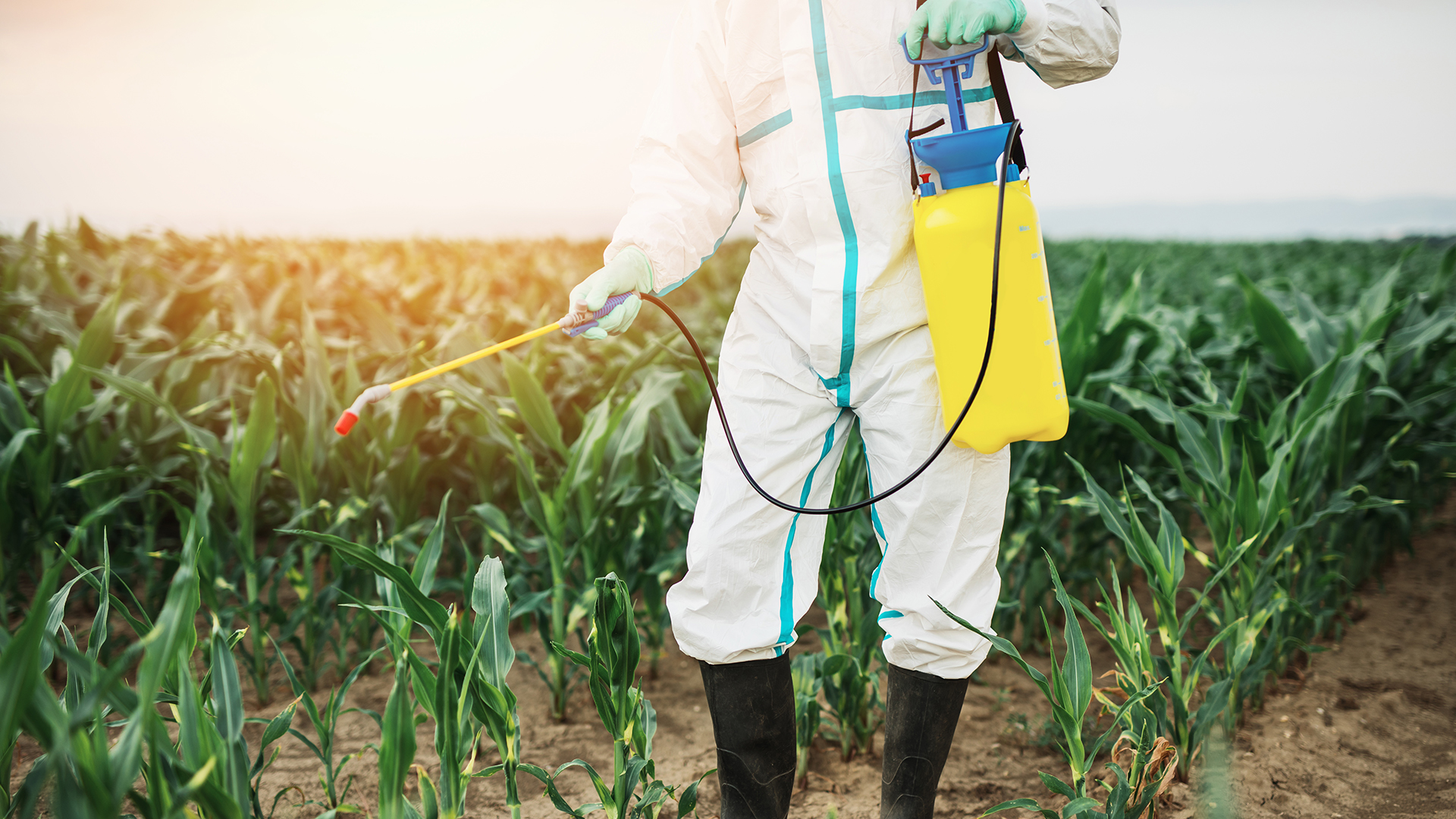 Nuevo convenio entre la SRT y Jujuy | Argentina.gob.ar