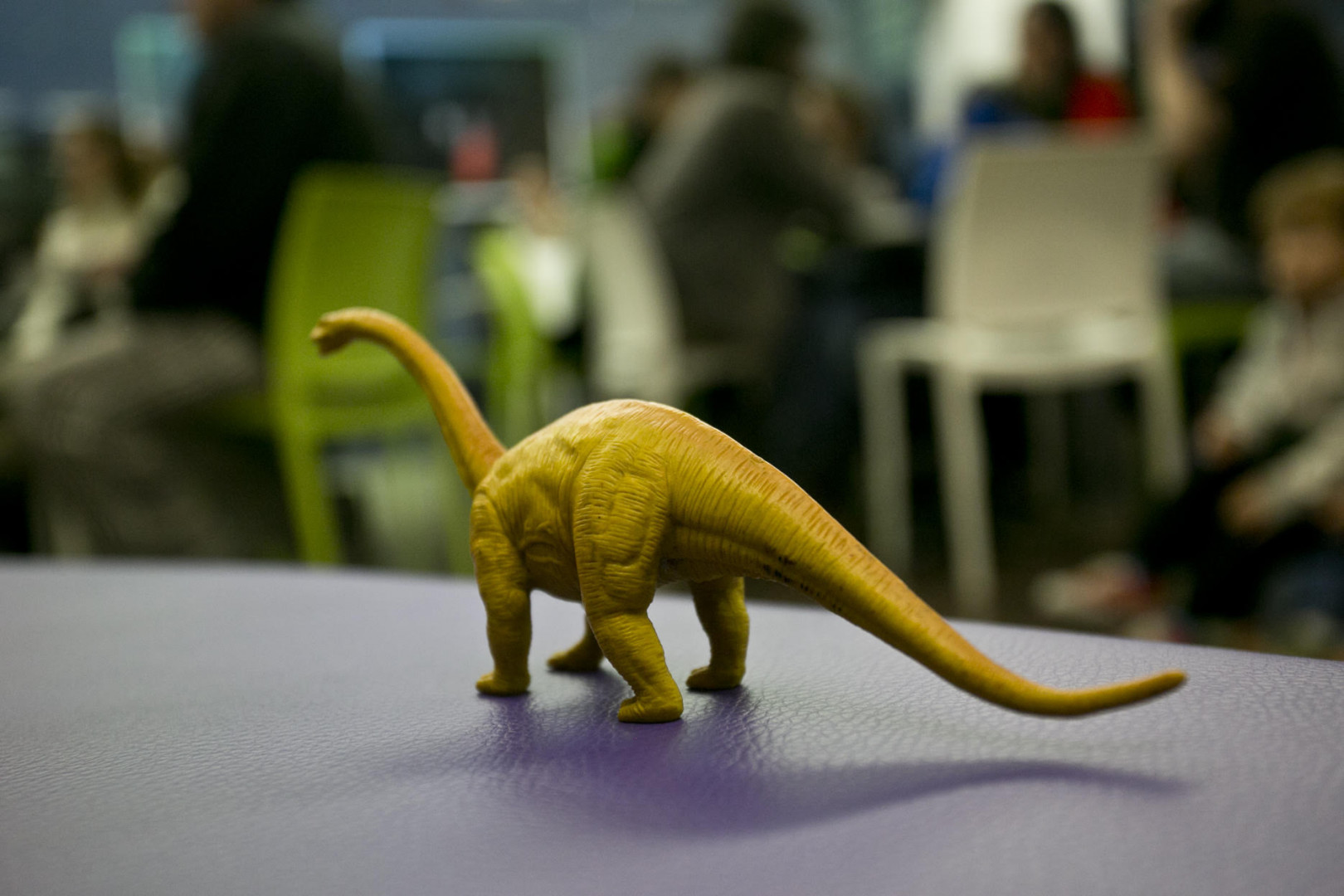 Grrrrrrr…¡vacaciones de invierno en el C3! | Argentina.gob.ar