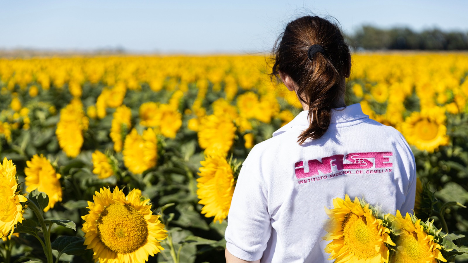 INASE definió su misión, visión y valores | Argentina.gob.ar