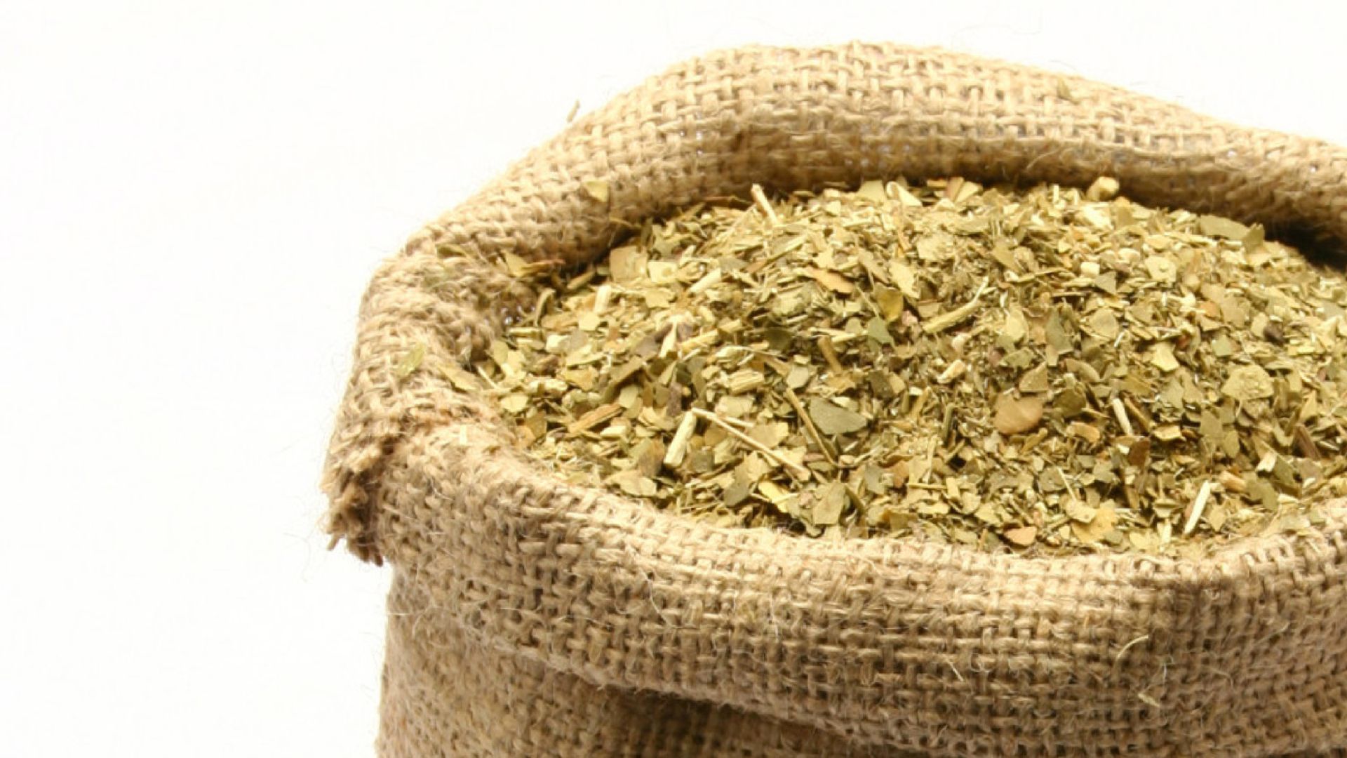 Un estudio del INTI permite que más yerba mate argentina llegue a todo ...