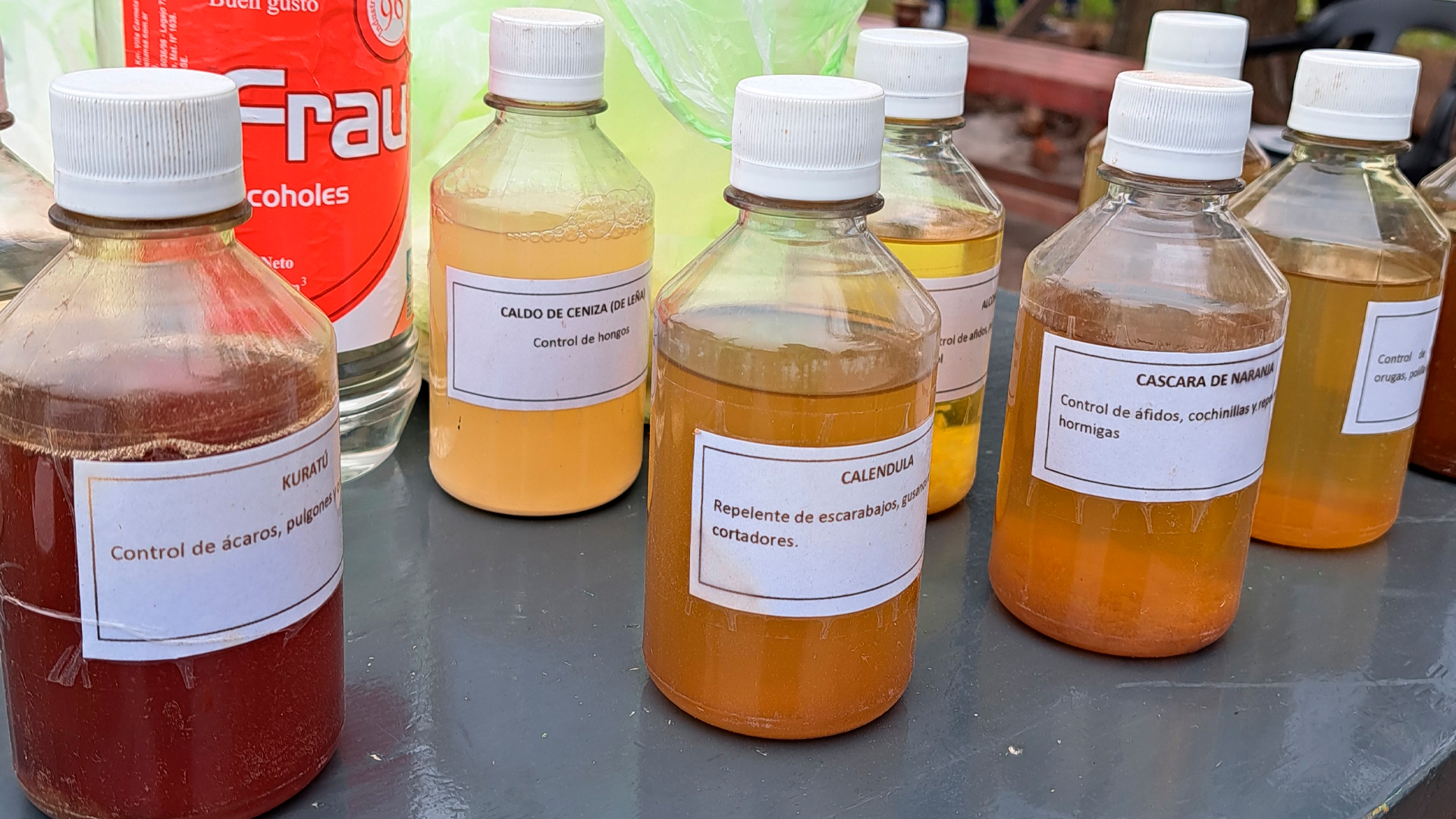 Control De Plagas Casero Para Jardines