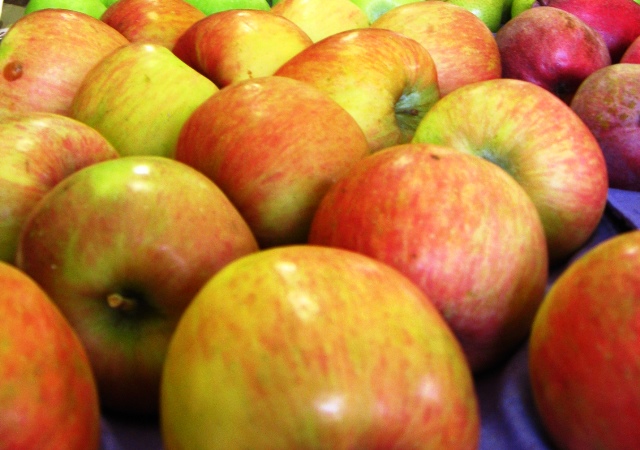 Adelanto de cosecha para las manzanas Red Delicious y Golden Delicious ...