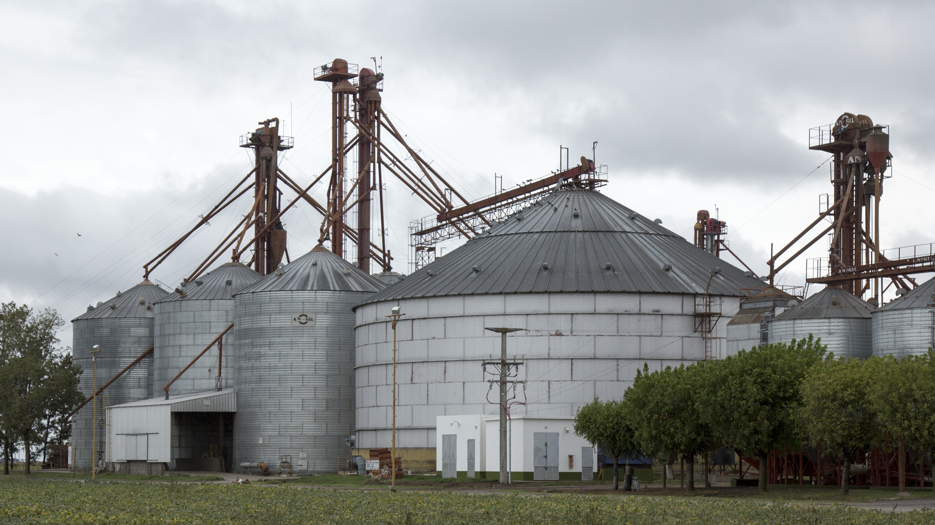 Cooperativa santafesina renueva su planta de silos | Argentina.gob.ar