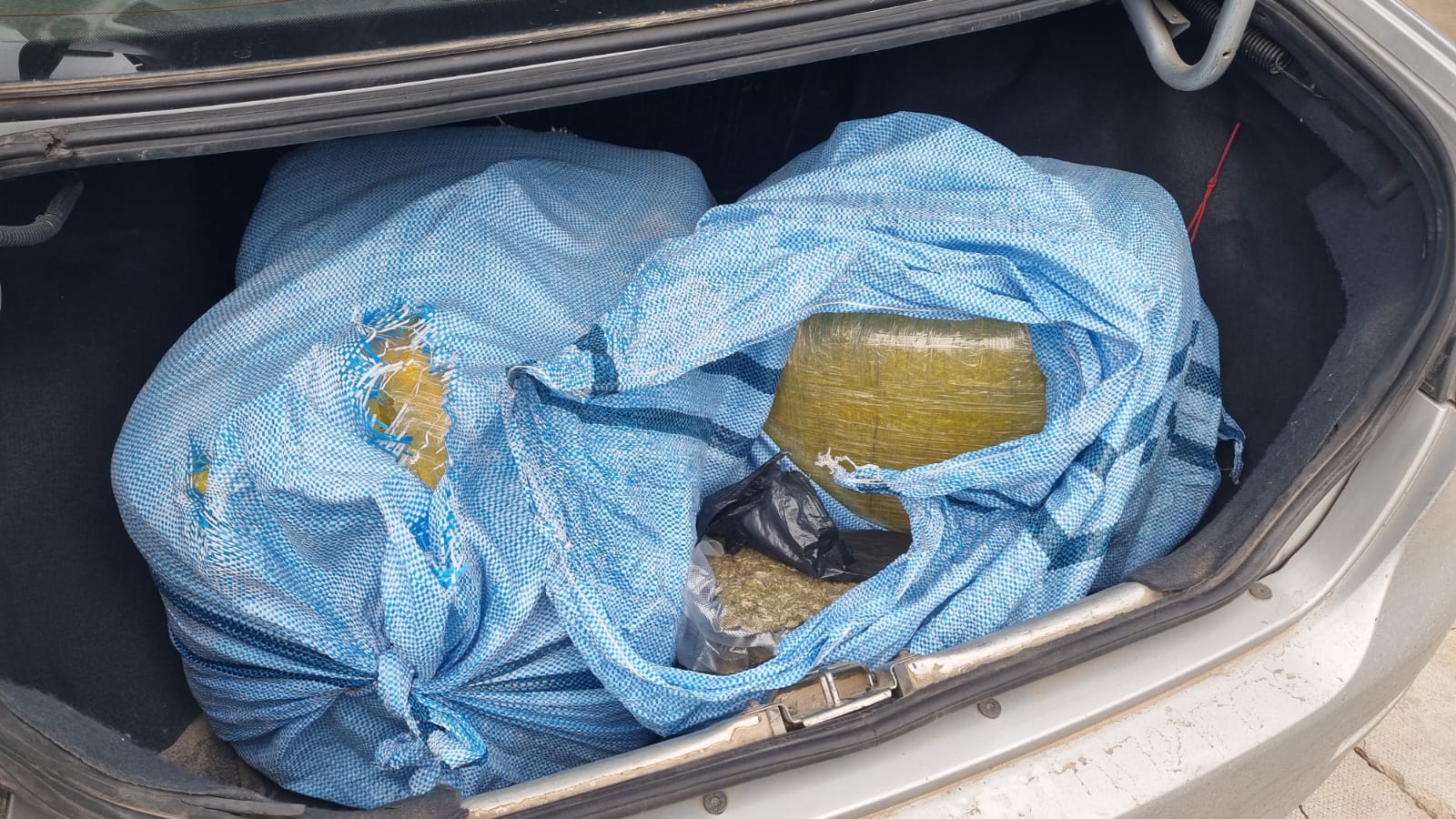 Patrulla De La Fuerza Detecta 64 Kilos De Marihuana Abandonados En Un