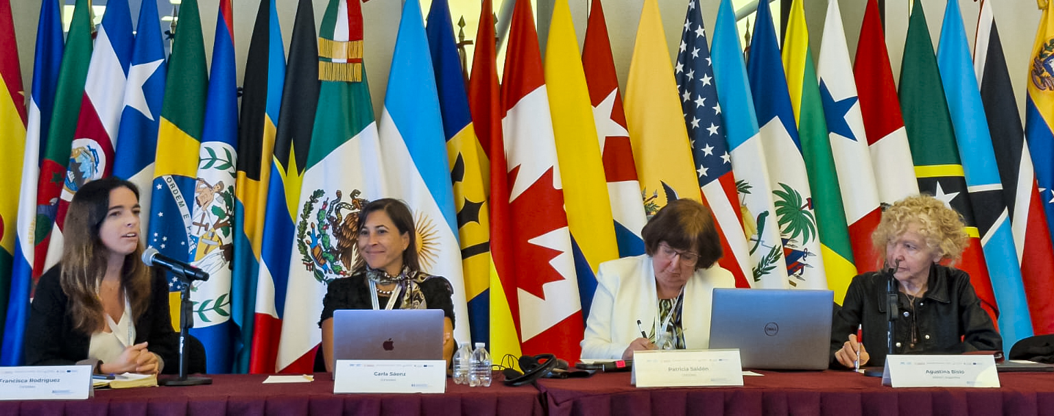 ANMAT participó de la "XI Conferencia Panamericana para la Armonización ...