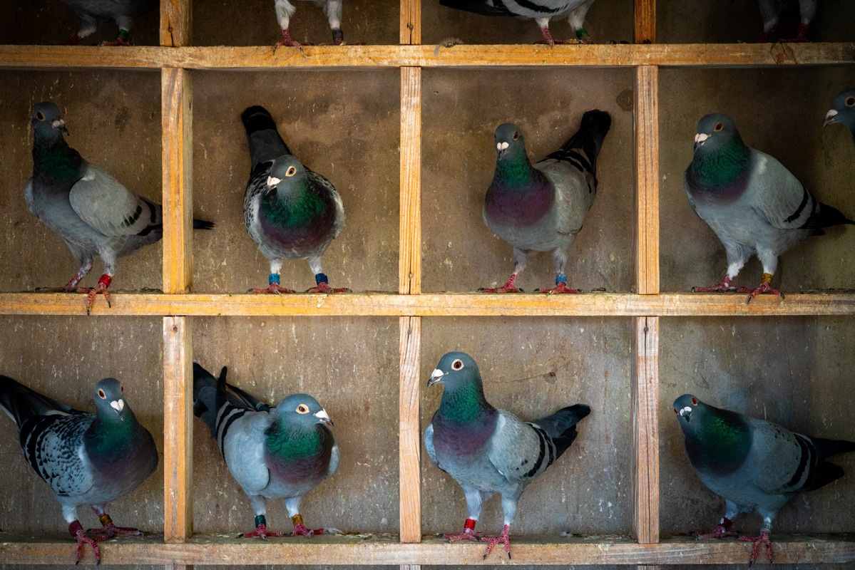 Estrenos y novedades en las pantallas del INCAA | Argentina.gob.ar