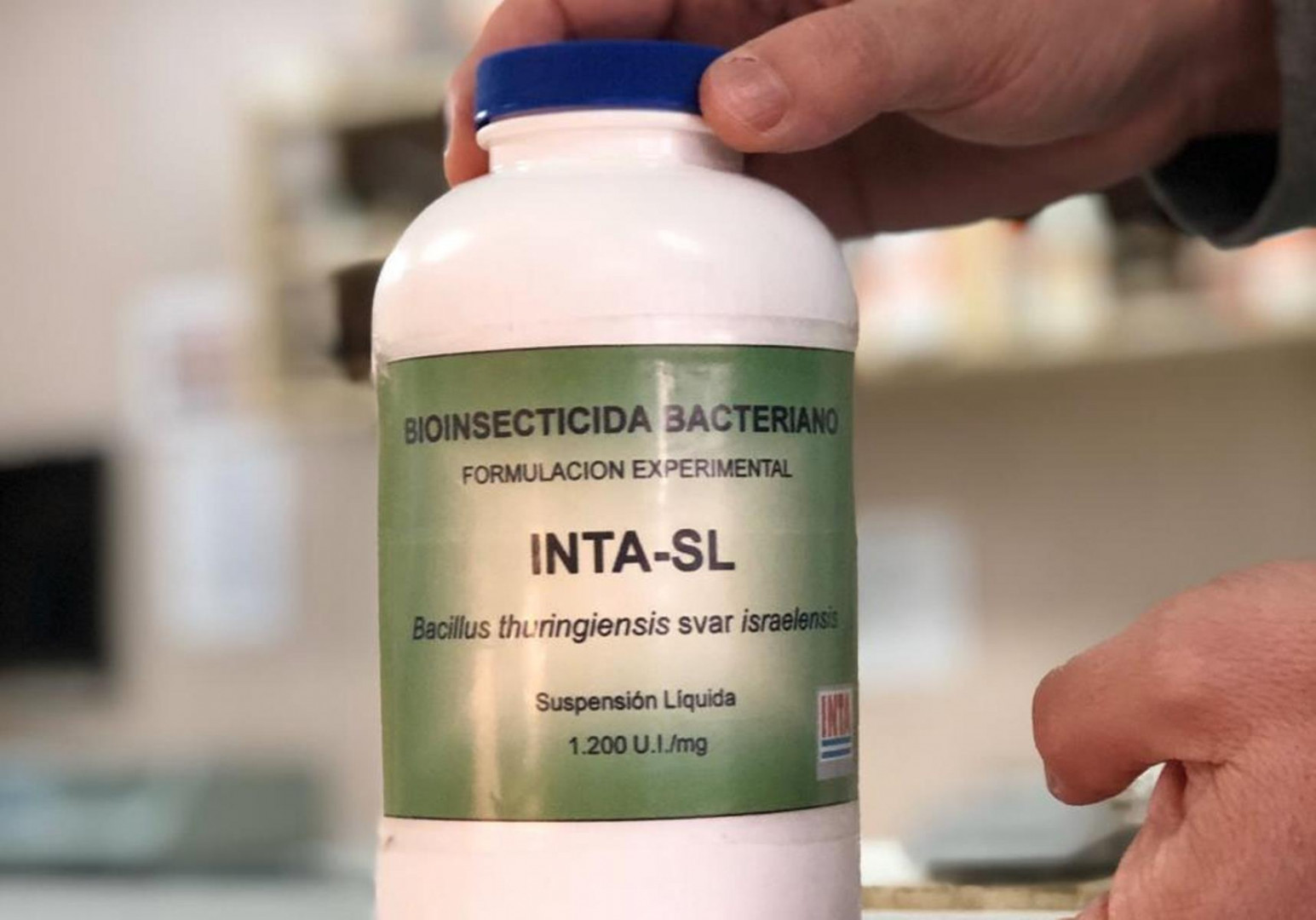 El INTA generó un biolarvicida para hacer frente al dengue | Argentina ...