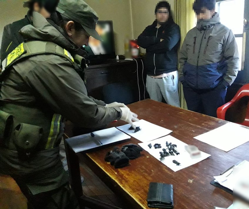 Decomisan Envoltorios Con Cocaína Y Marihuana Argentina Gob Ar