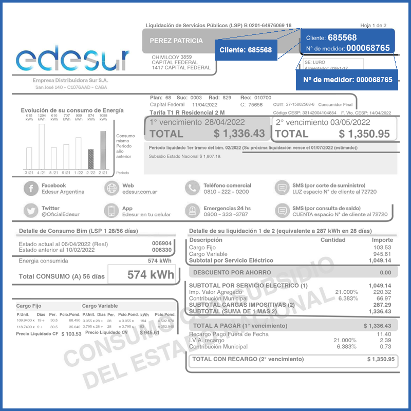 factura edesur | Argentina.gob.ar factura edesur | Argentina.gob.ar