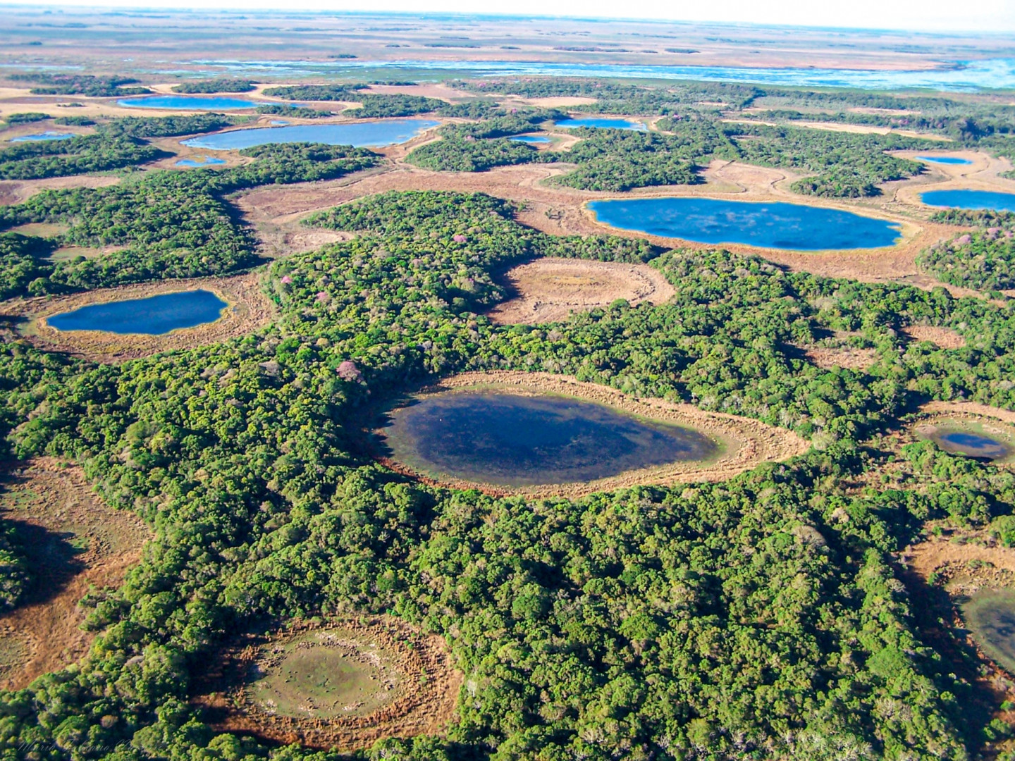 El INTA promueve las buenas prácticas en humedales | Argentina.gob.ar