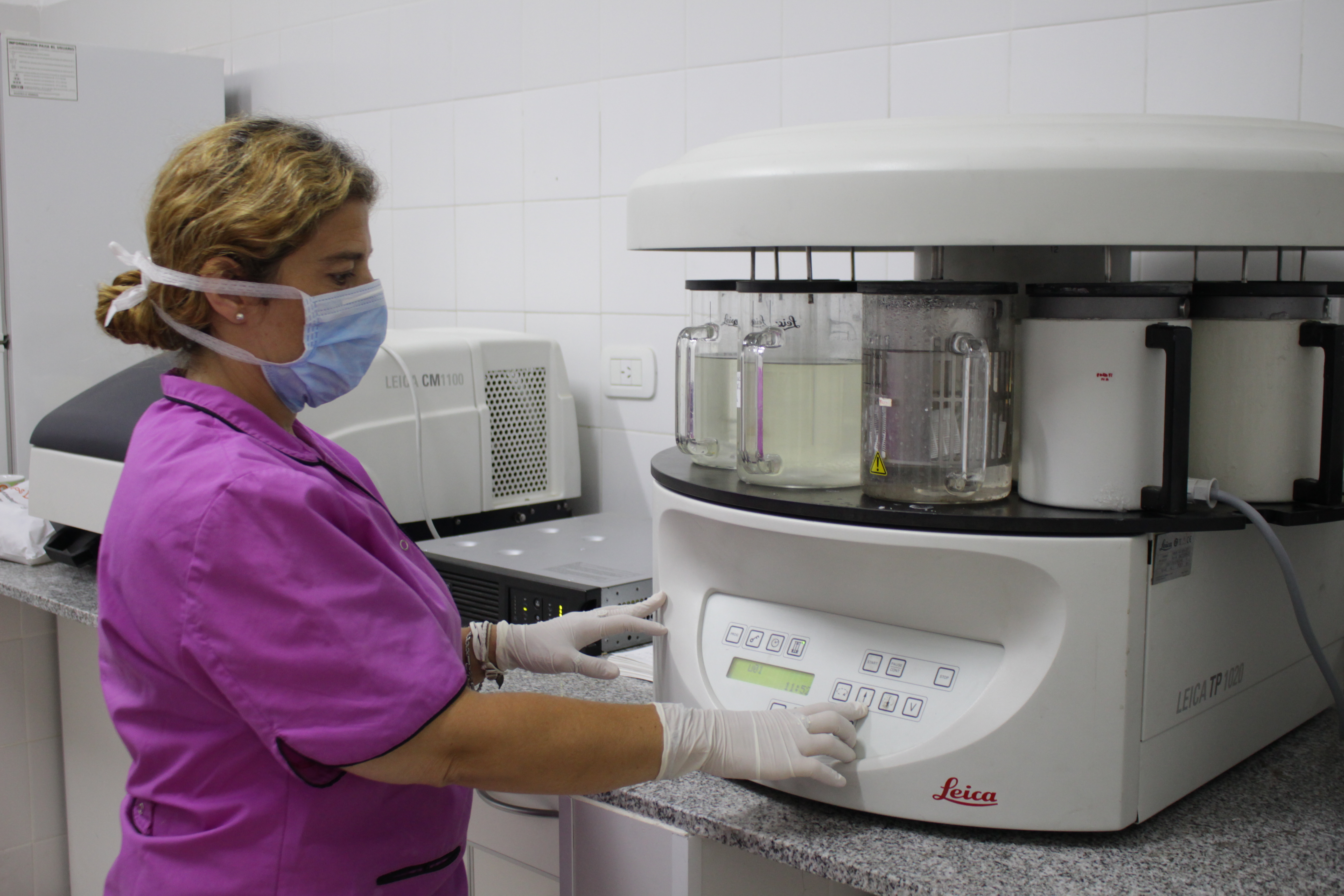 El Registro de Datos Genéticos tomó las primeras muestras de ADN ...