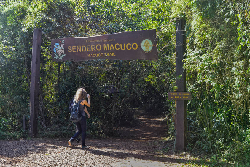 Renuevan el Sendero Macuco en el Parque Nacional Iguazú | Argentina.gob.ar